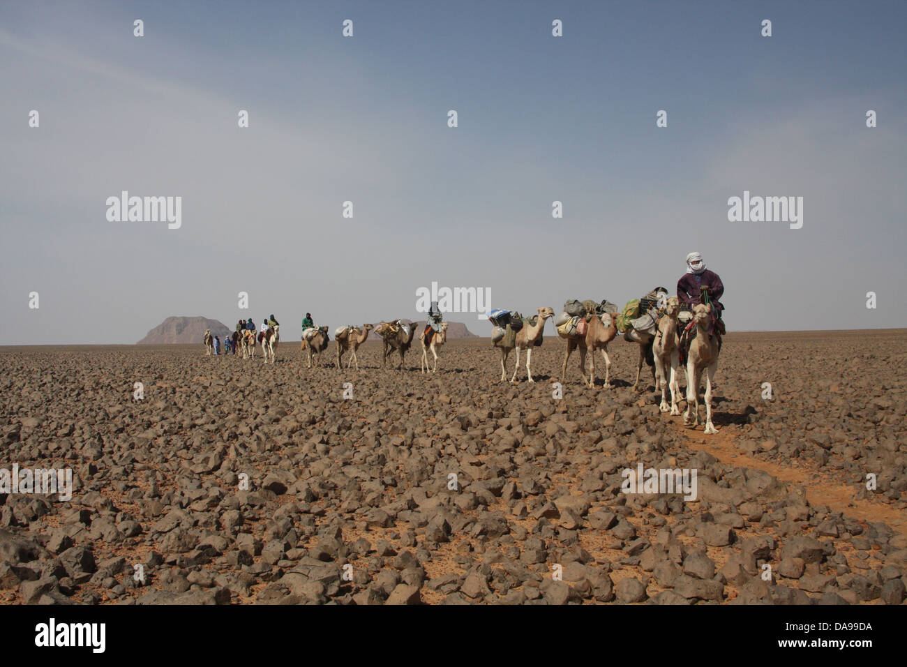 Algeria, Africa, north Africa, desert, stone desert, rocky desert ...