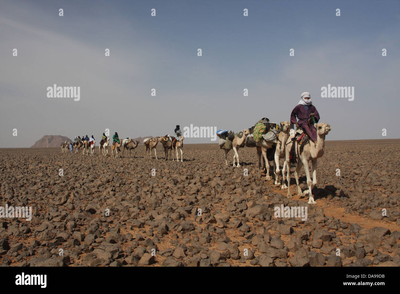 Algeria, Africa, north Africa, desert, stone desert, rocky desert ...