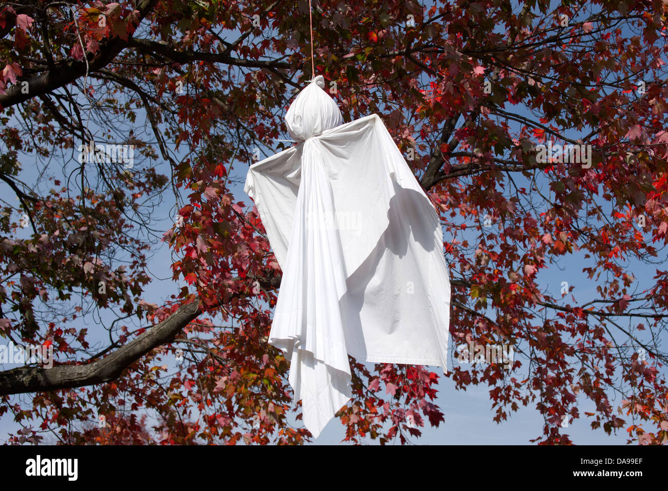 HALLOWEEN GHOST ORNAMENT HANGING FROM FALL FOLIAGE TREE Stock Photo - Alamy