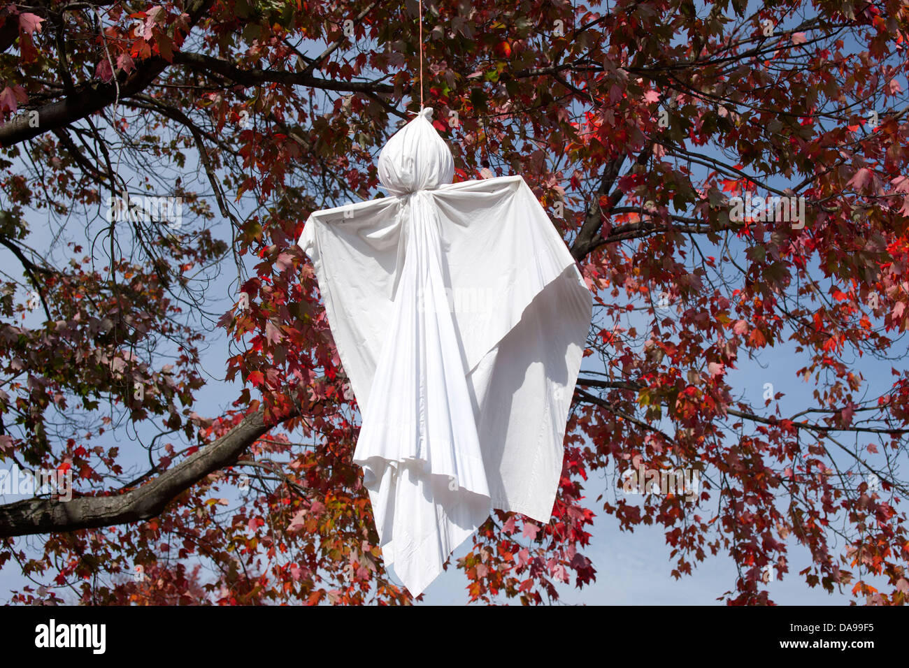 HALLOWEEN GHOST ORNAMENT HANGING FROM FALL FOLIAGE TREE Stock Photo - Alamy