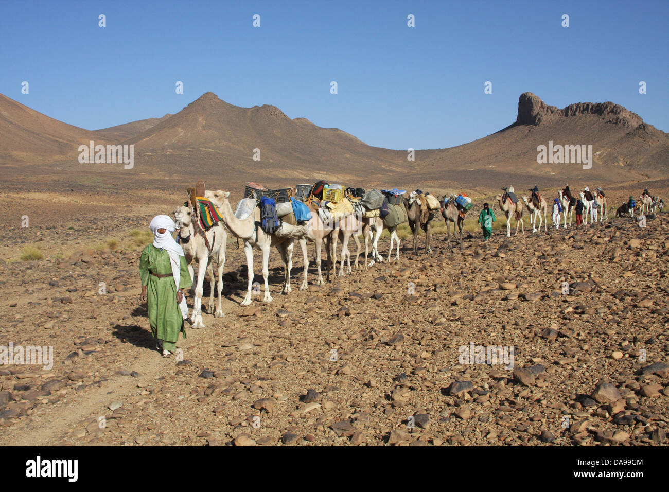 Algeria, Africa, north Africa, desert, stone desert, rocky desert ...