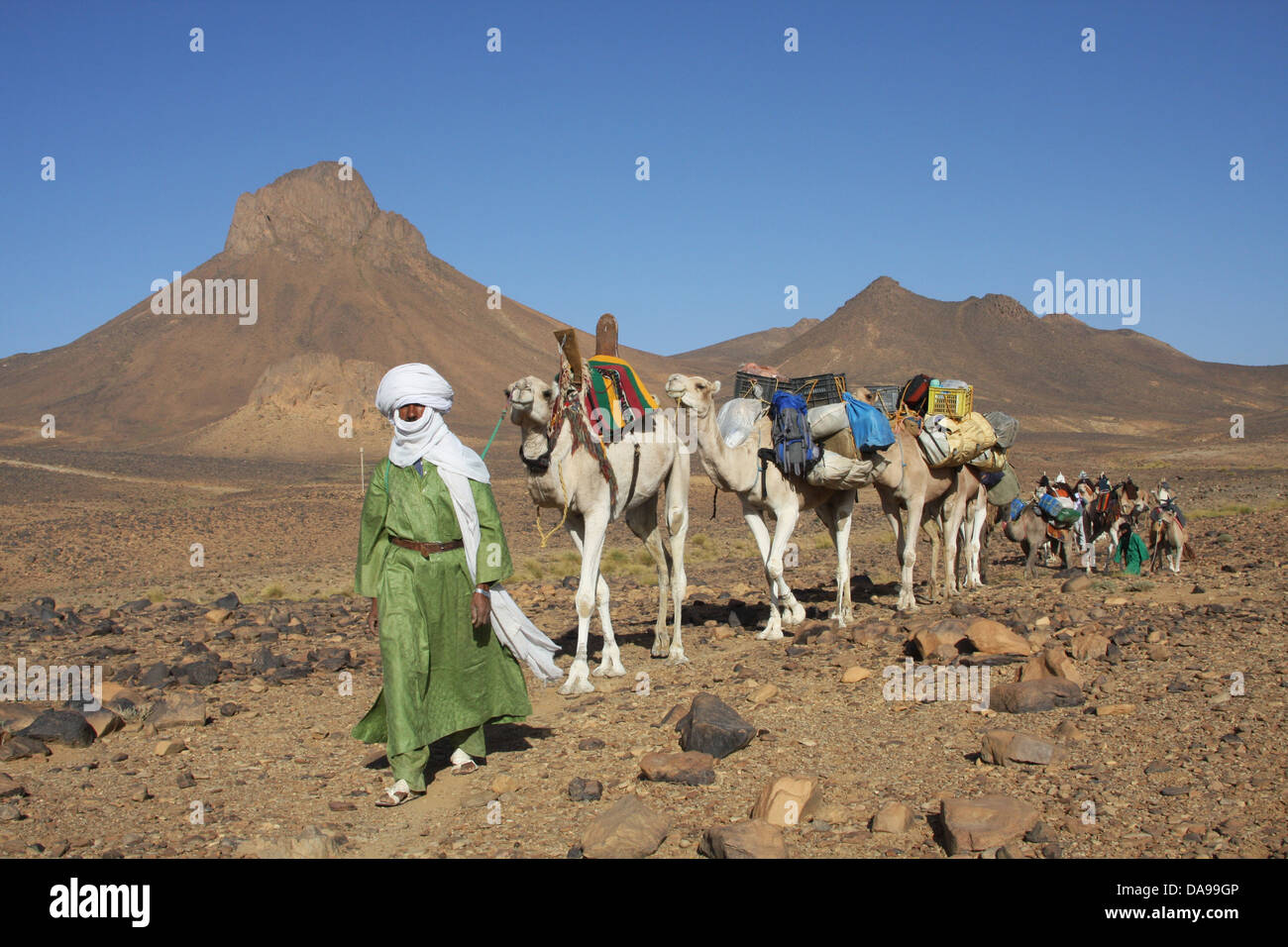 Algeria, Africa, north Africa, desert, stone desert, rocky desert ...