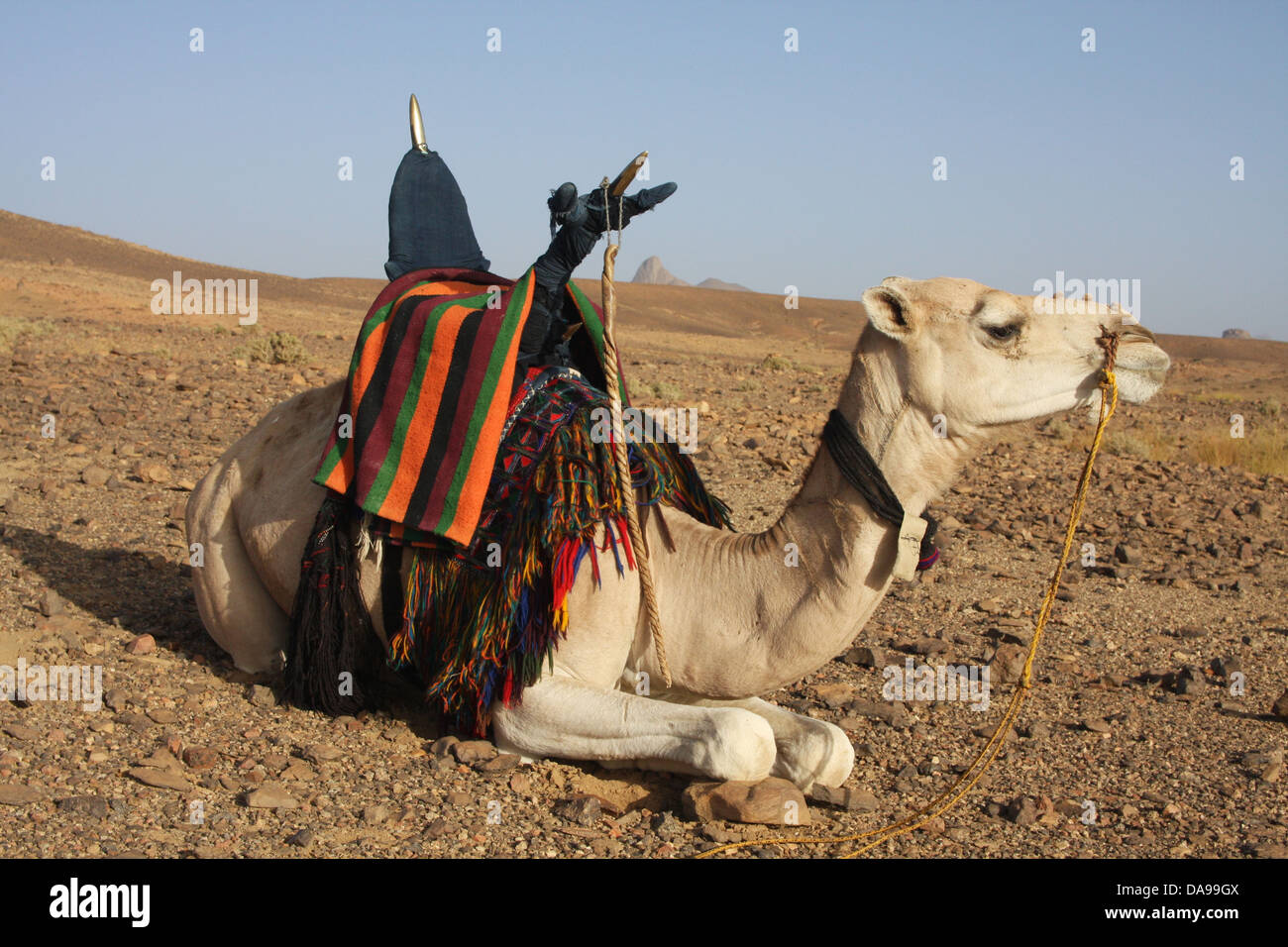 Algeria, Africa, north Africa, desert, stone desert, rocky desert ...