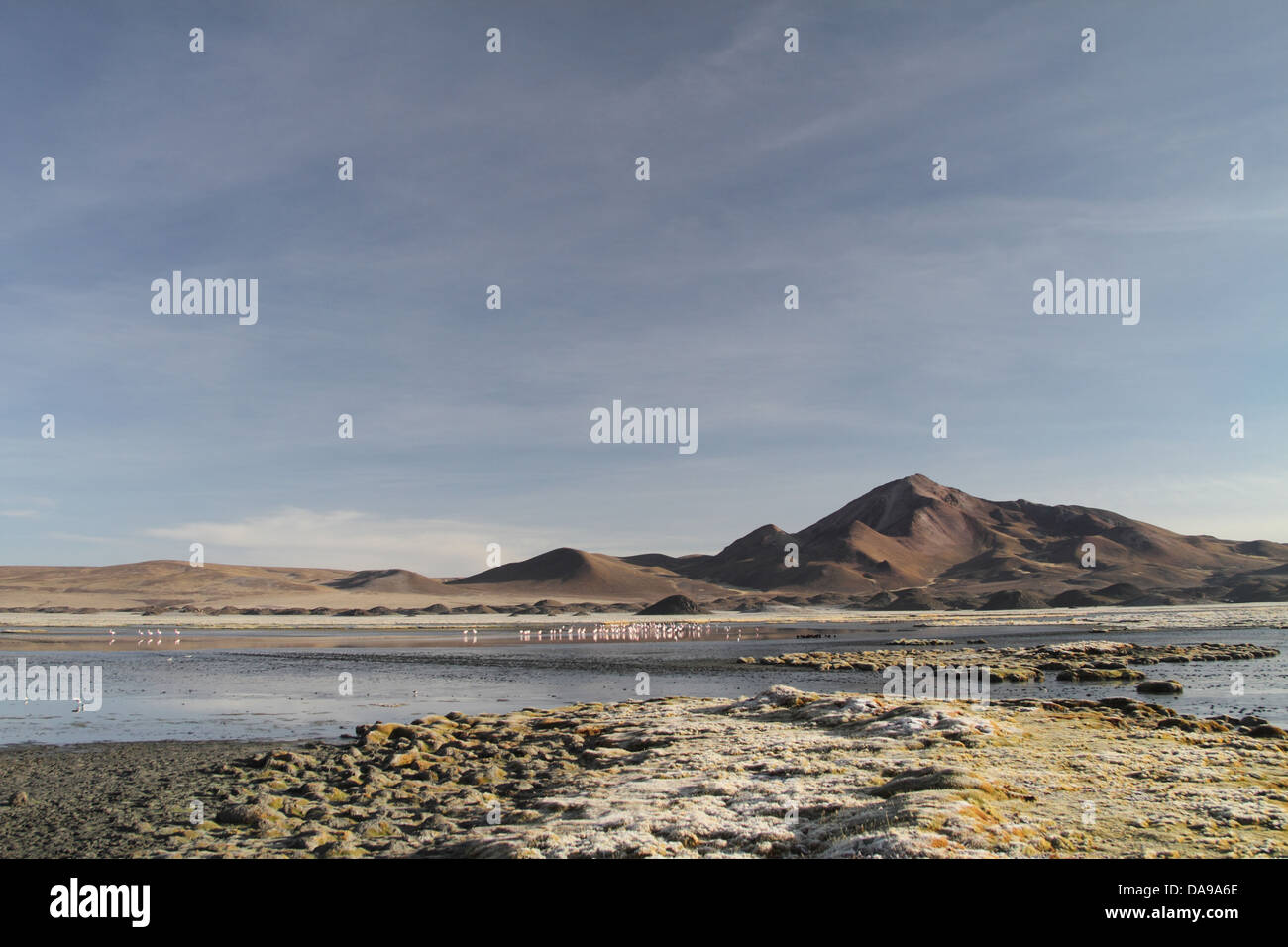 Chile, North Chile, Norte Grande, andes, altiplano, South America ...