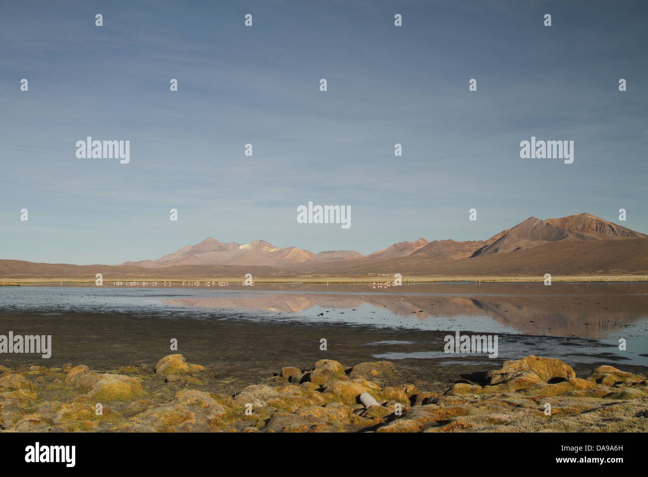 Chile, North Chile, Norte Grande, andes, altiplano, South America ...