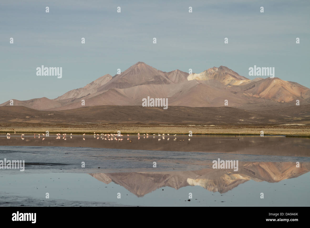 Chile, North Chile, Norte Grande, andes, altiplano, South America ...