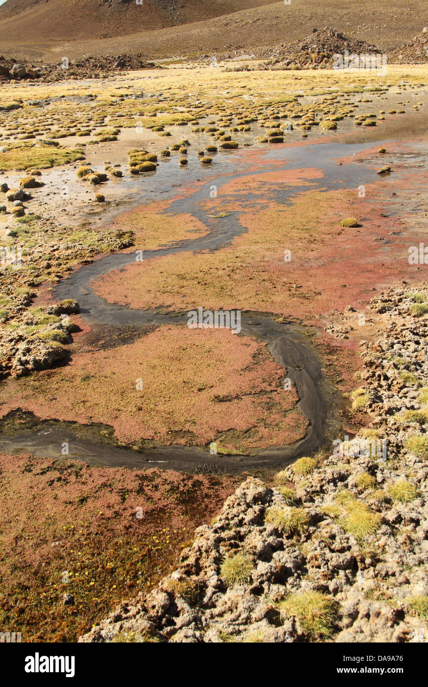 Chile, North Chile, Norte Grande, andes, altiplano, South America ...