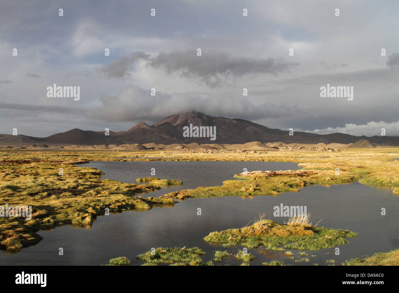 Chile, North Chile, Norte Grande, andes, altiplano, South America ...