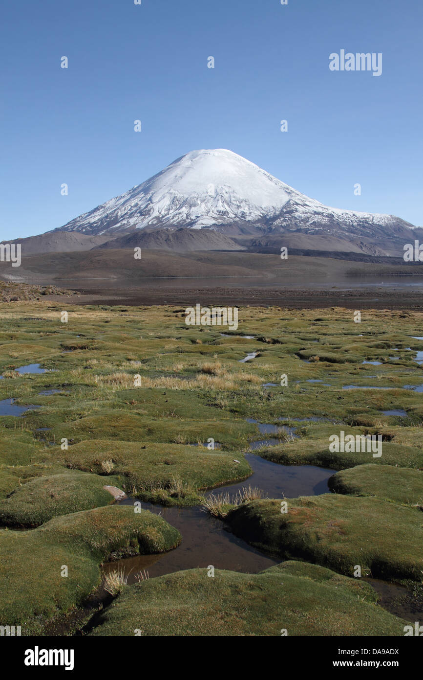 Chile, North Chile, Norte Grande, andes, altiplano, South America ...