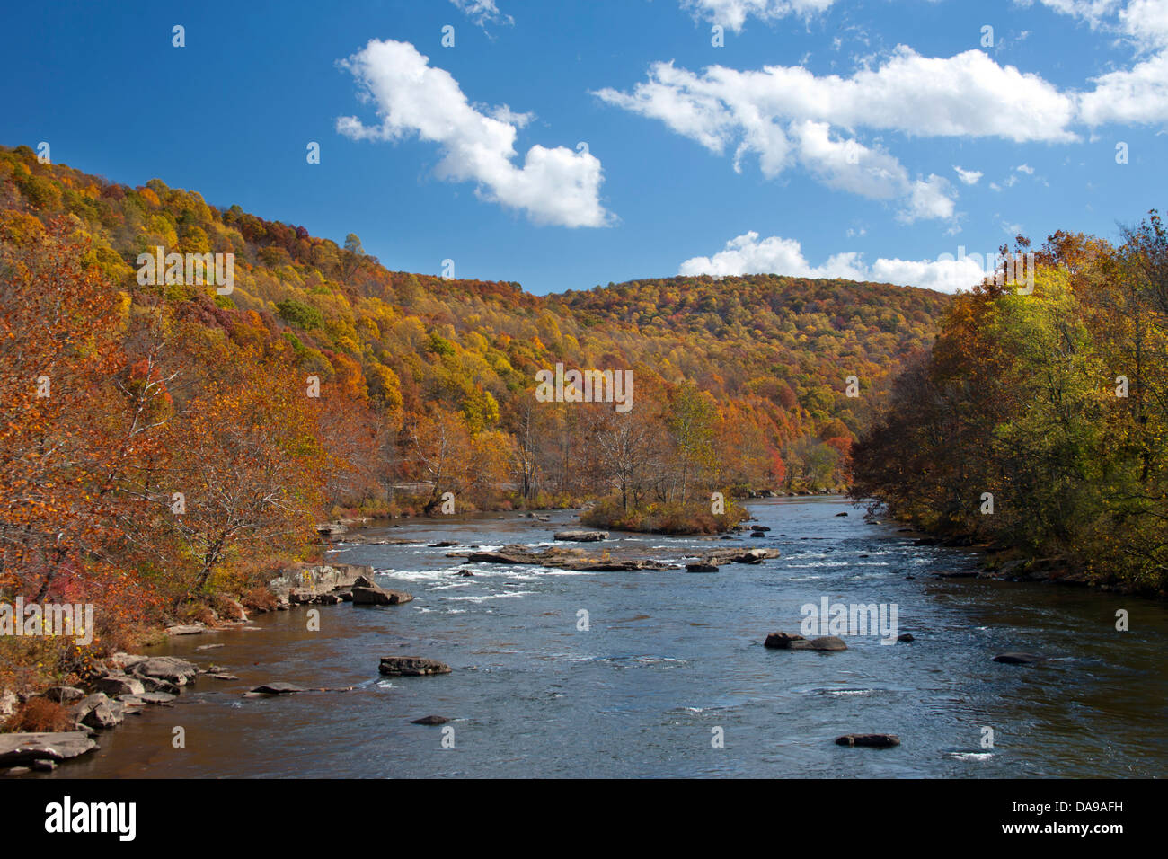 FALL FOLIAGE YOUGHIGHENY RIVER OHIOPYLE STATE PARK FAYETTE COUNTY ...
