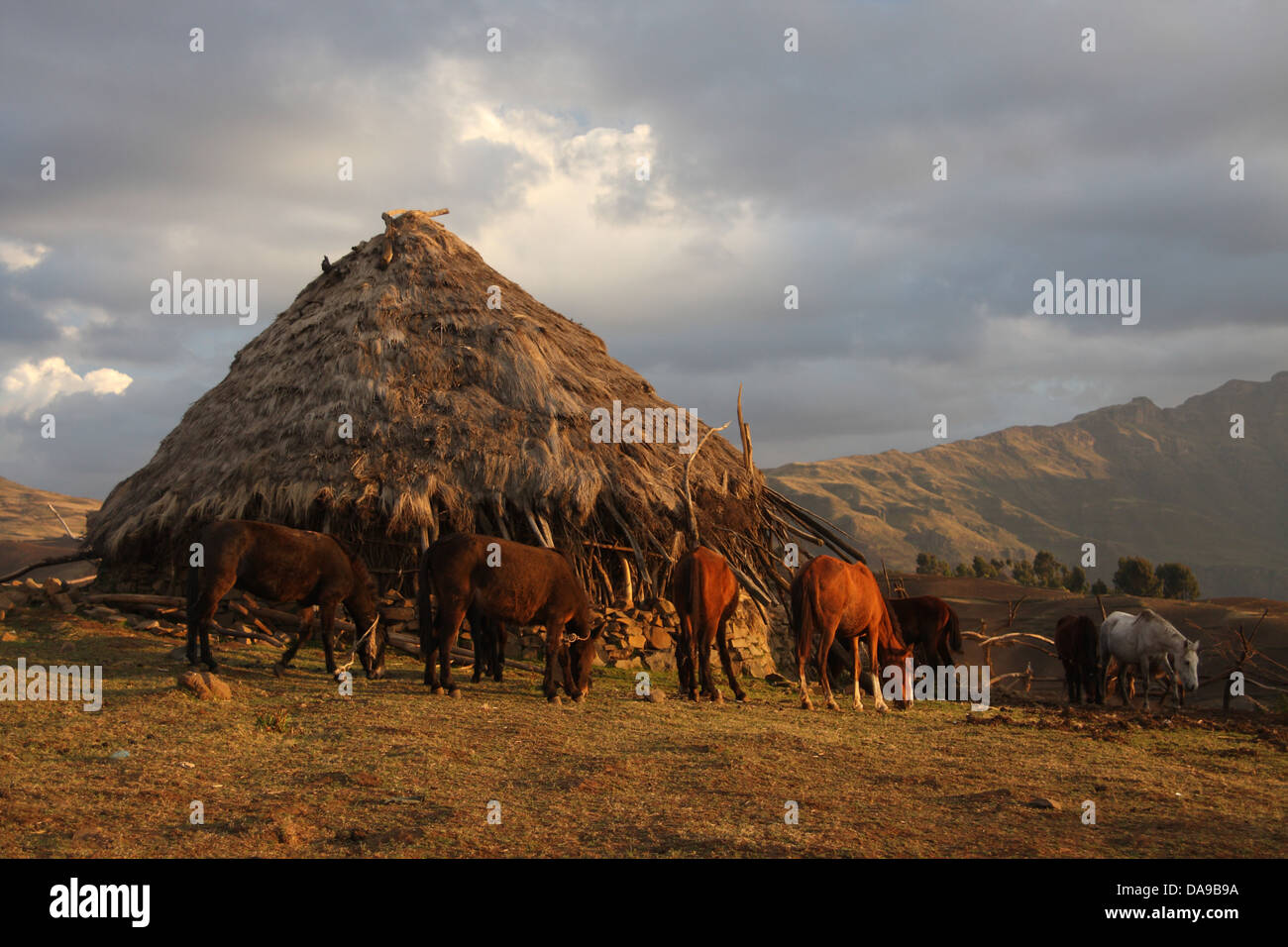 Ethiopia, Africa, Simien, Simien Mountains, National Park, landscape ...