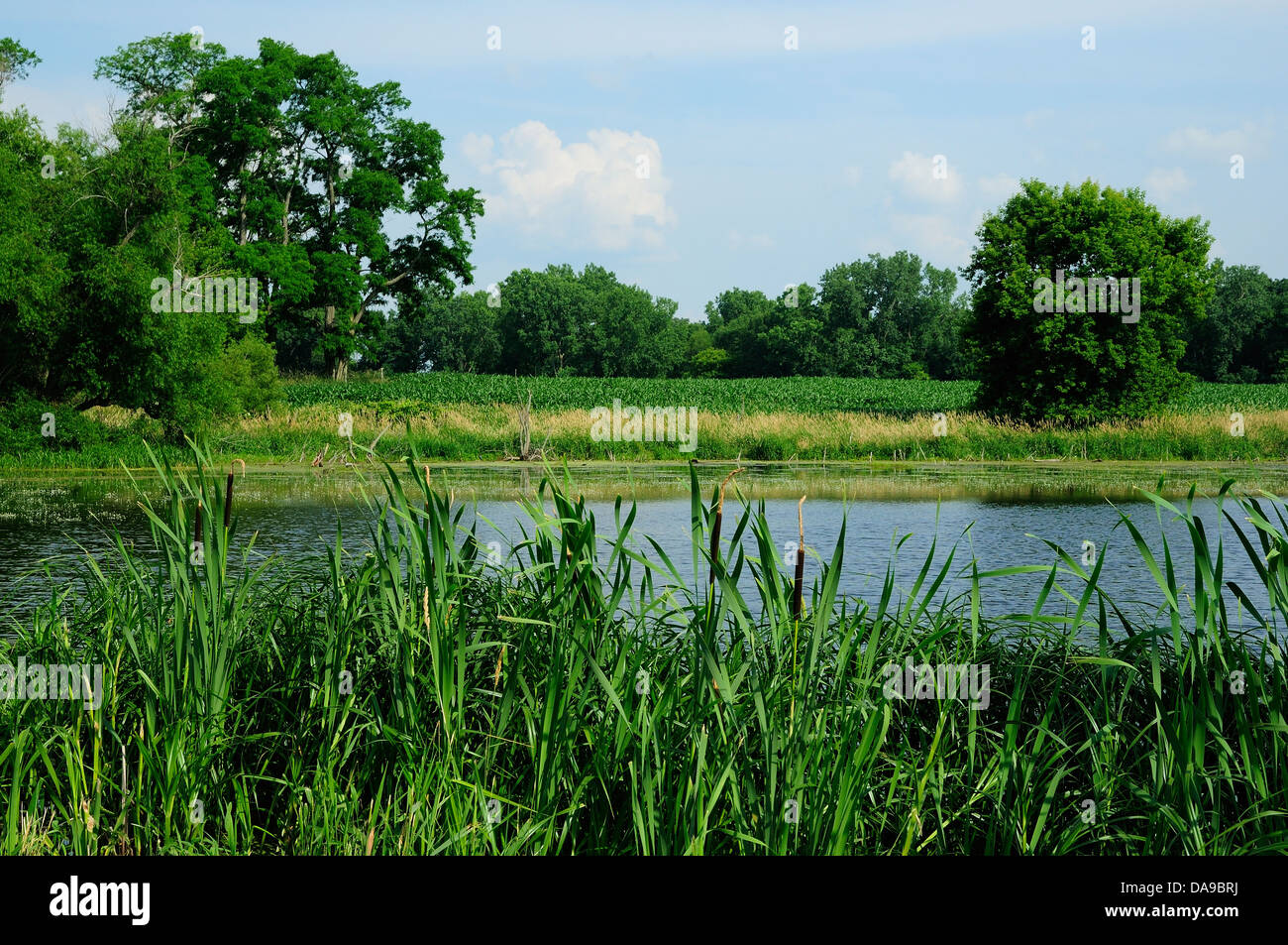 Illinois prairie hi-res stock photography and images - Alamy