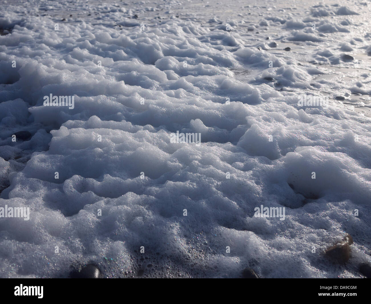 Spume on the beach Stock Photo - Alamy