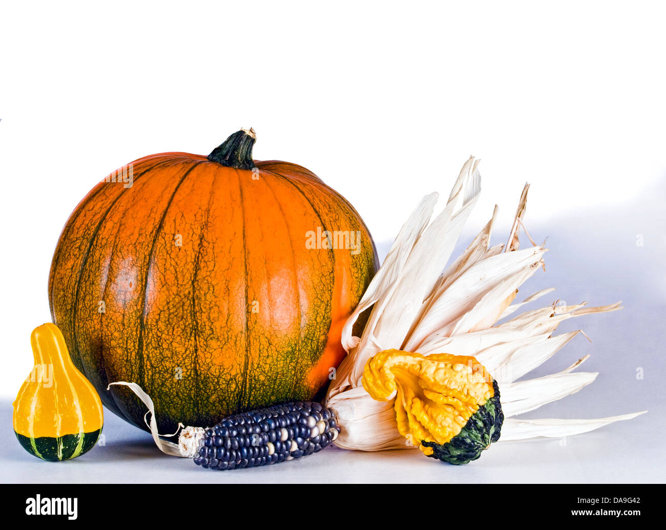 Autumn harvest composition with pumpkins, gourds and ears of corn Stock ...