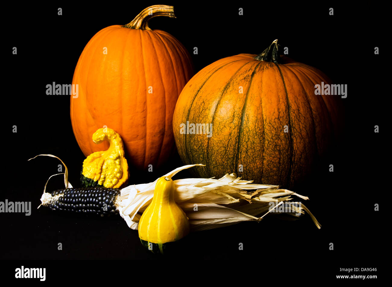 Autumn harvest composition with pumpkins, gourds and ears of corn Stock ...