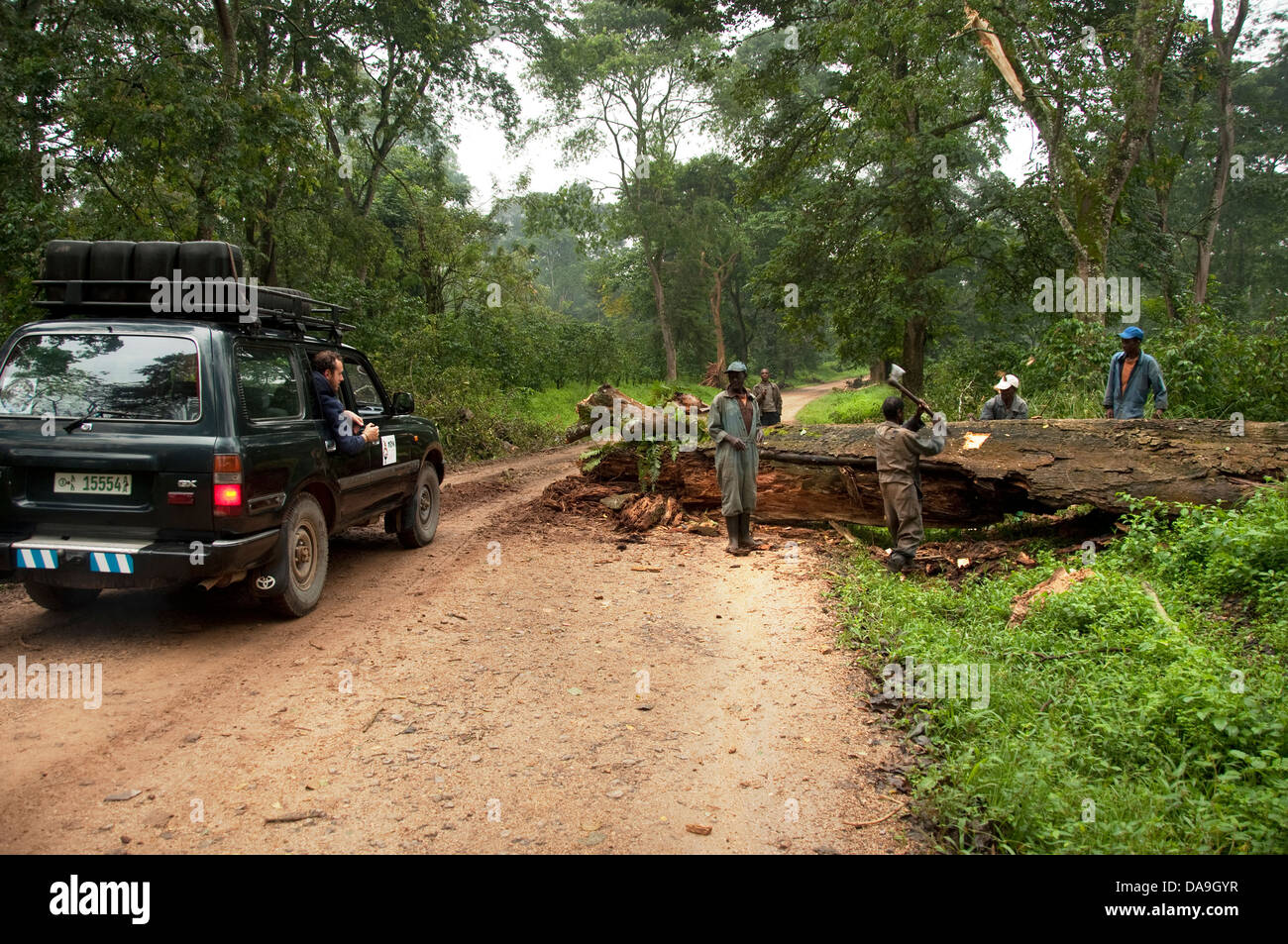 Coffee plantation ethiopia hi-res stock photography and images - Alamy
