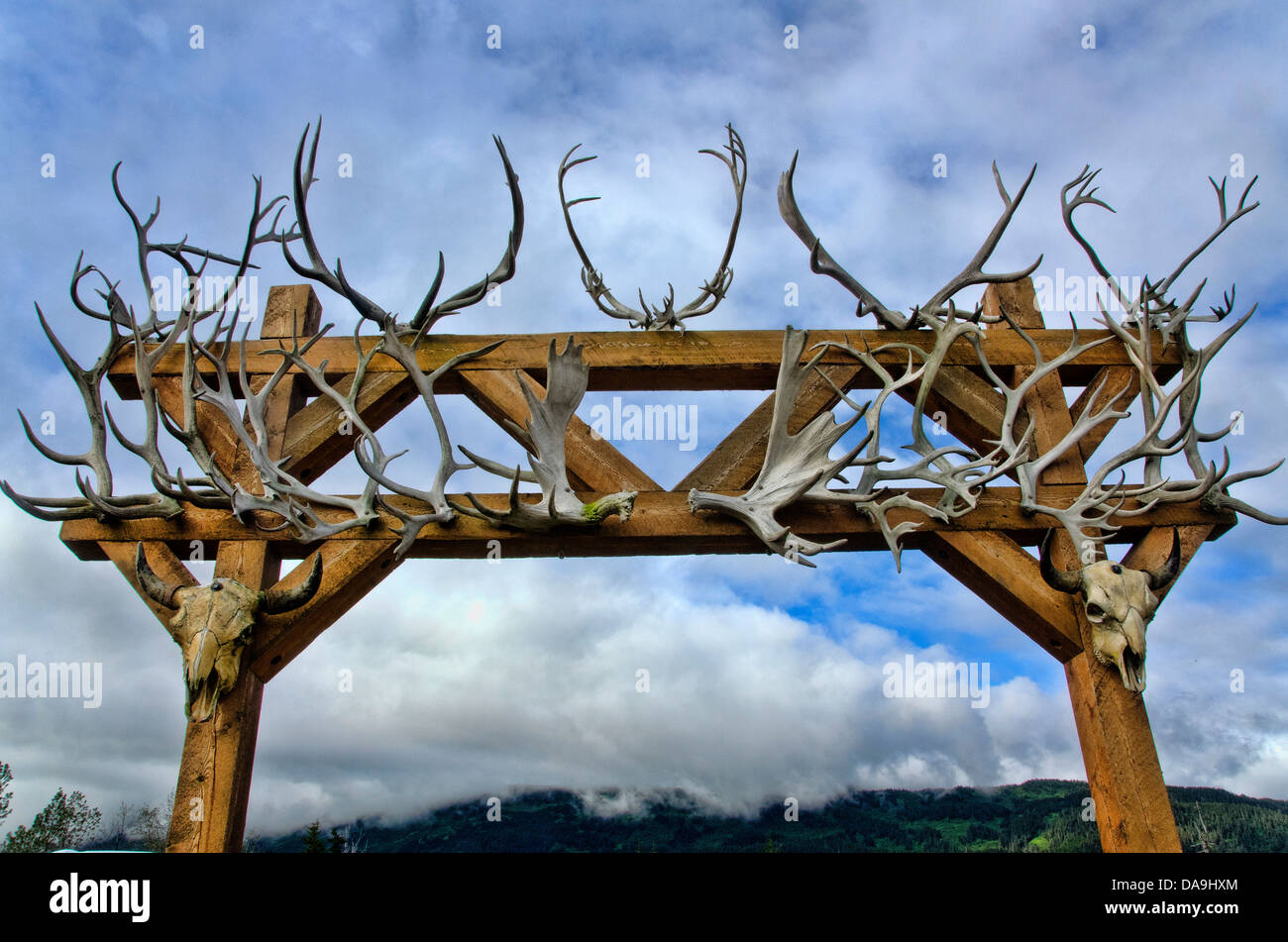 antlers, skulls, animal, Alaska, wildlife, conservation center, USA ...