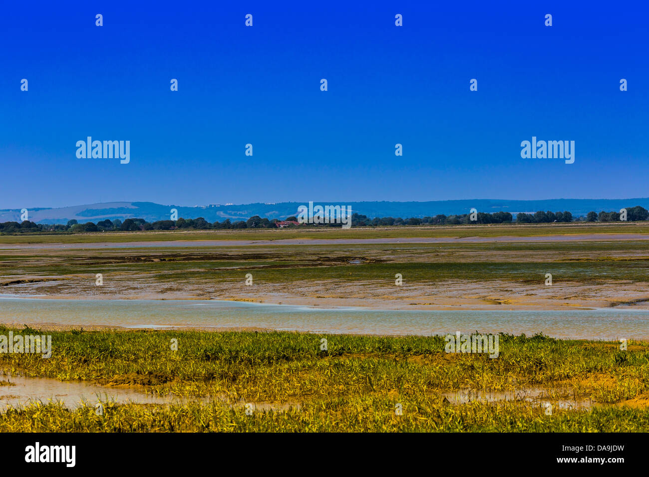 Pagham Harbour Nature Reserve West Sussex England Stock Photo - Alamy