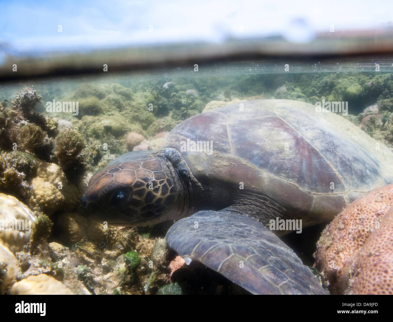 Stranded at sea hi-res stock photography and images - Alamy