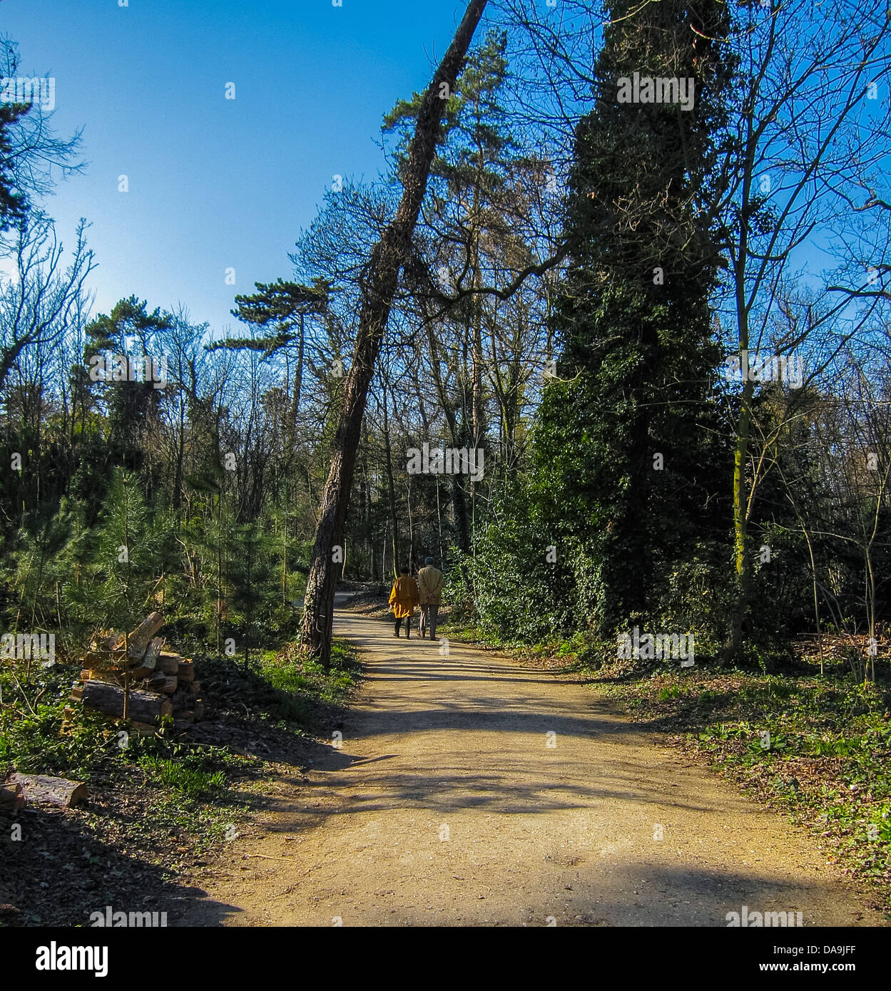 Empty romantic paris woods hi-res stock photography and images - Alamy