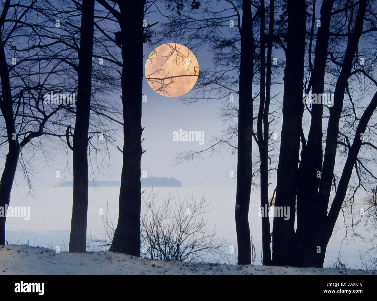 Poland, Masuria, sea, lake Spirding, Jez Sniardwy, trees, mood, fog ...