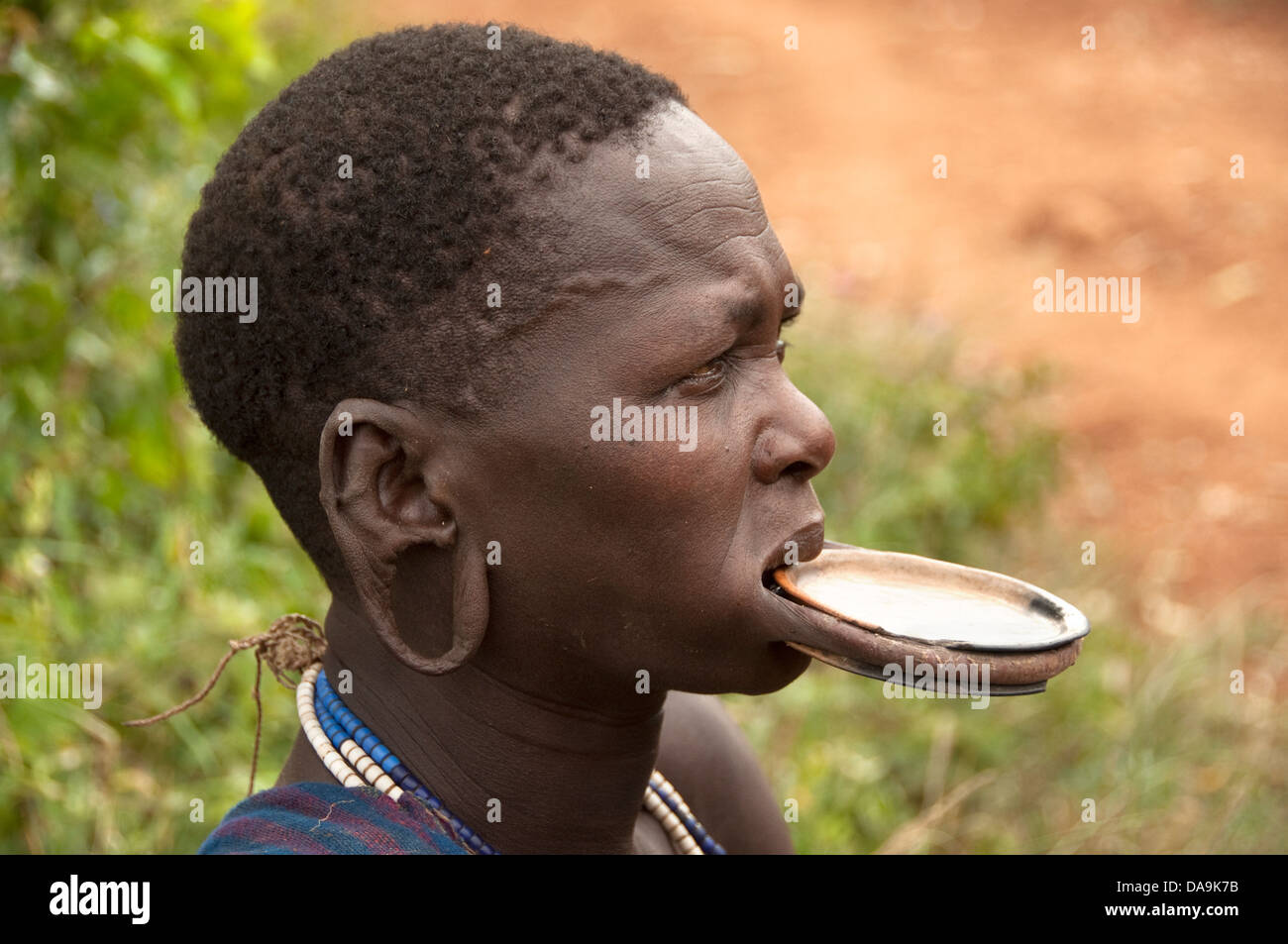 Suri (Surma) woman with lip plate and pierced earlobes, Ethiopia Stock ...