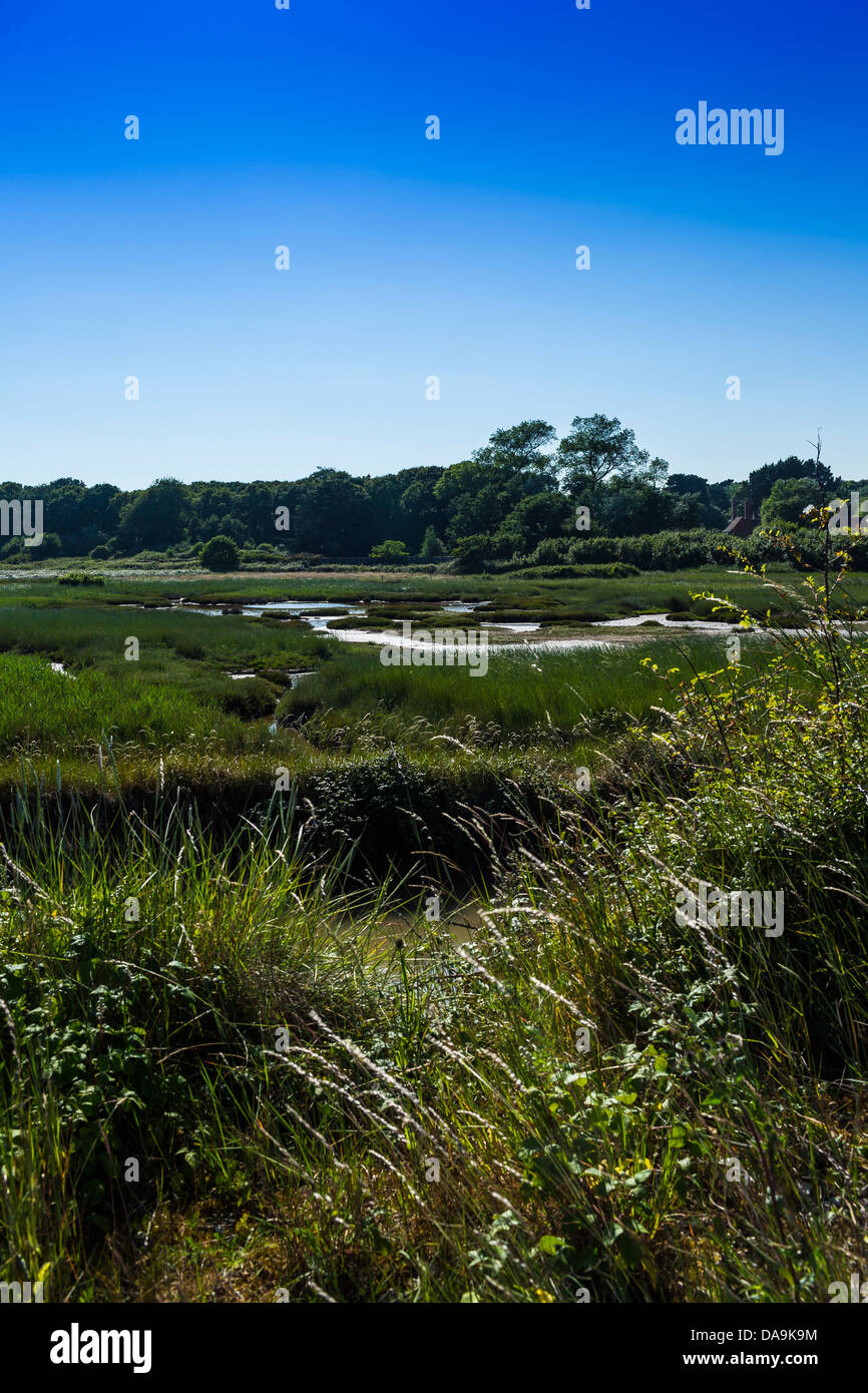 Pagham Harbour Nature Reserve West Sussex England Stock Photo - Alamy