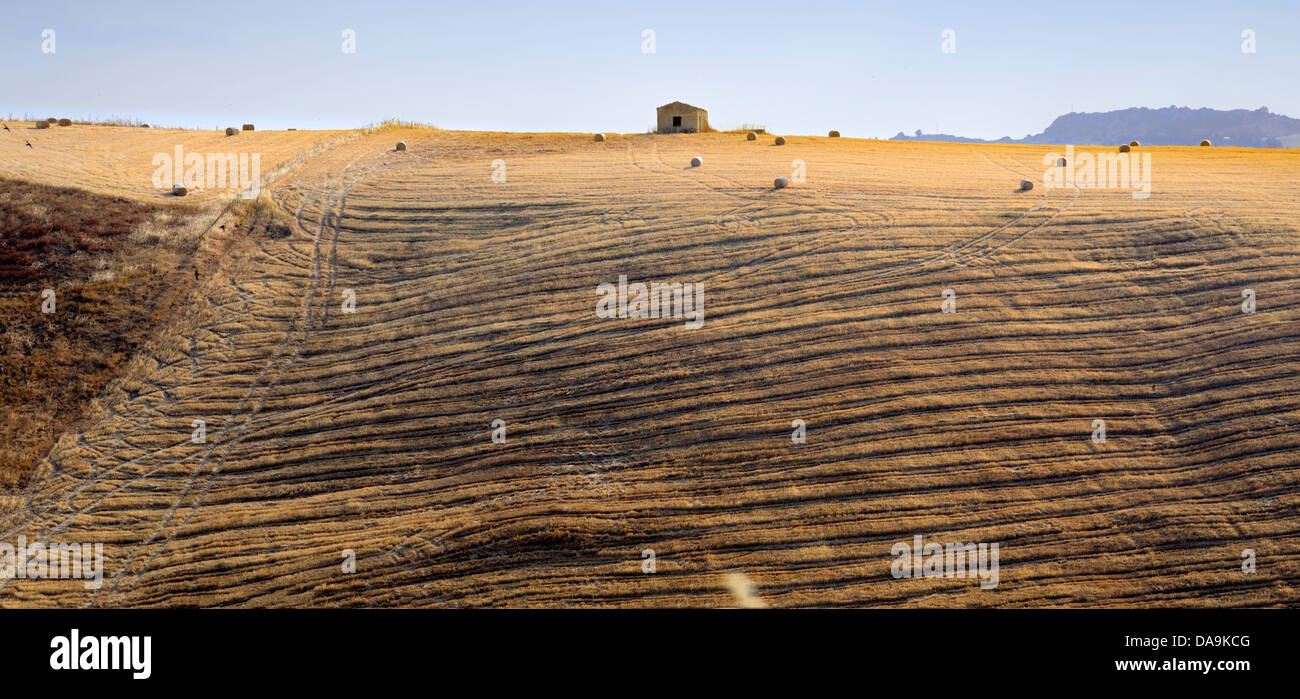 Sicily country, Caltanissetta - Prestianni district, Italy - Golden ...