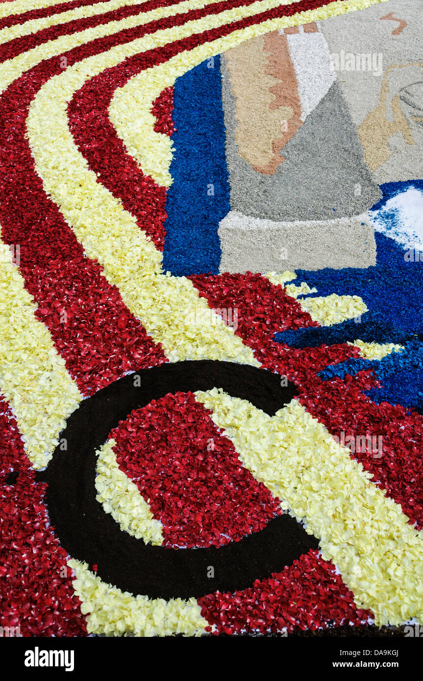Flower mosaic competition in Barcelona, Spain. The paintings are ...