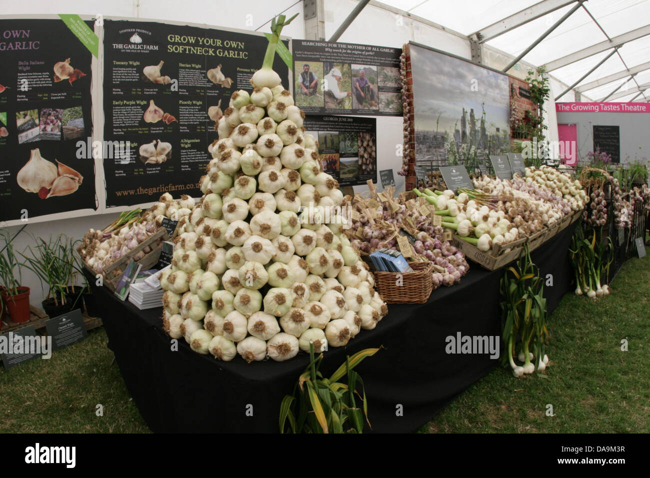 London, UK. 8th July, 2013. Garlic display by The Garlic Farm from the ...