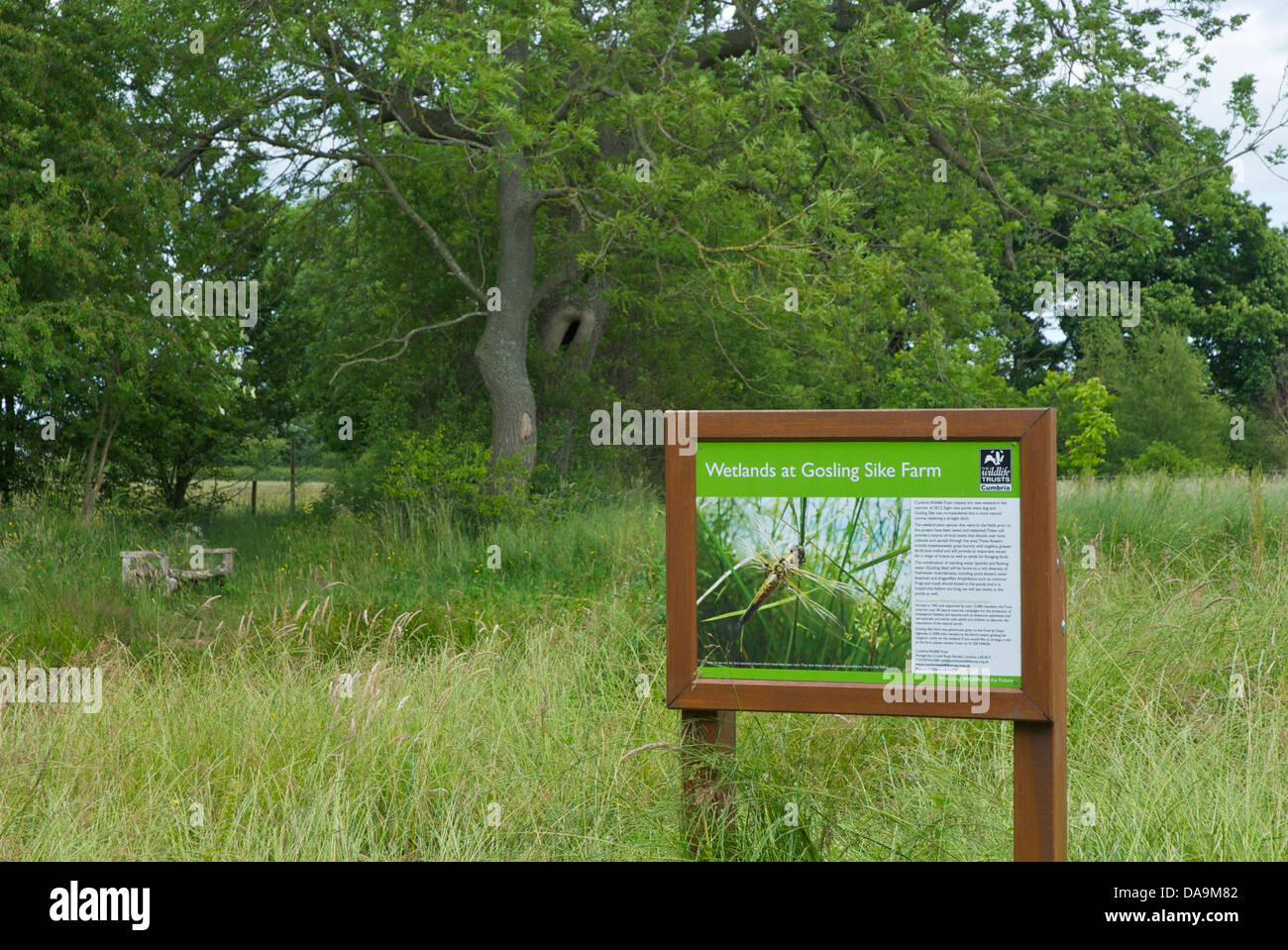 Information panel at Gosling Sike Farm, a Cumbria Wildlife Trust nature ...