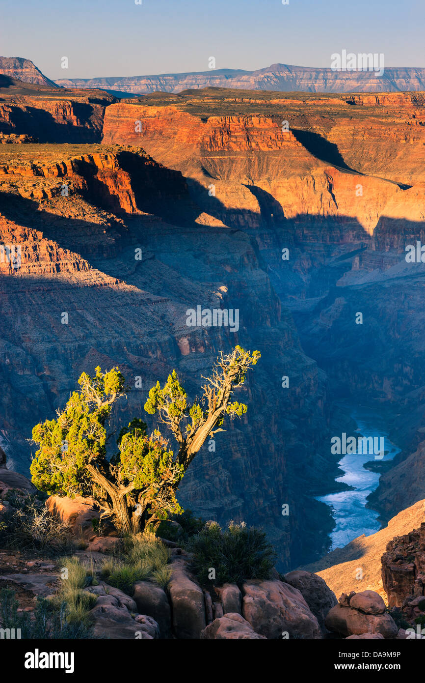 Tuweep and grand canyon hi-res stock photography and images - Alamy