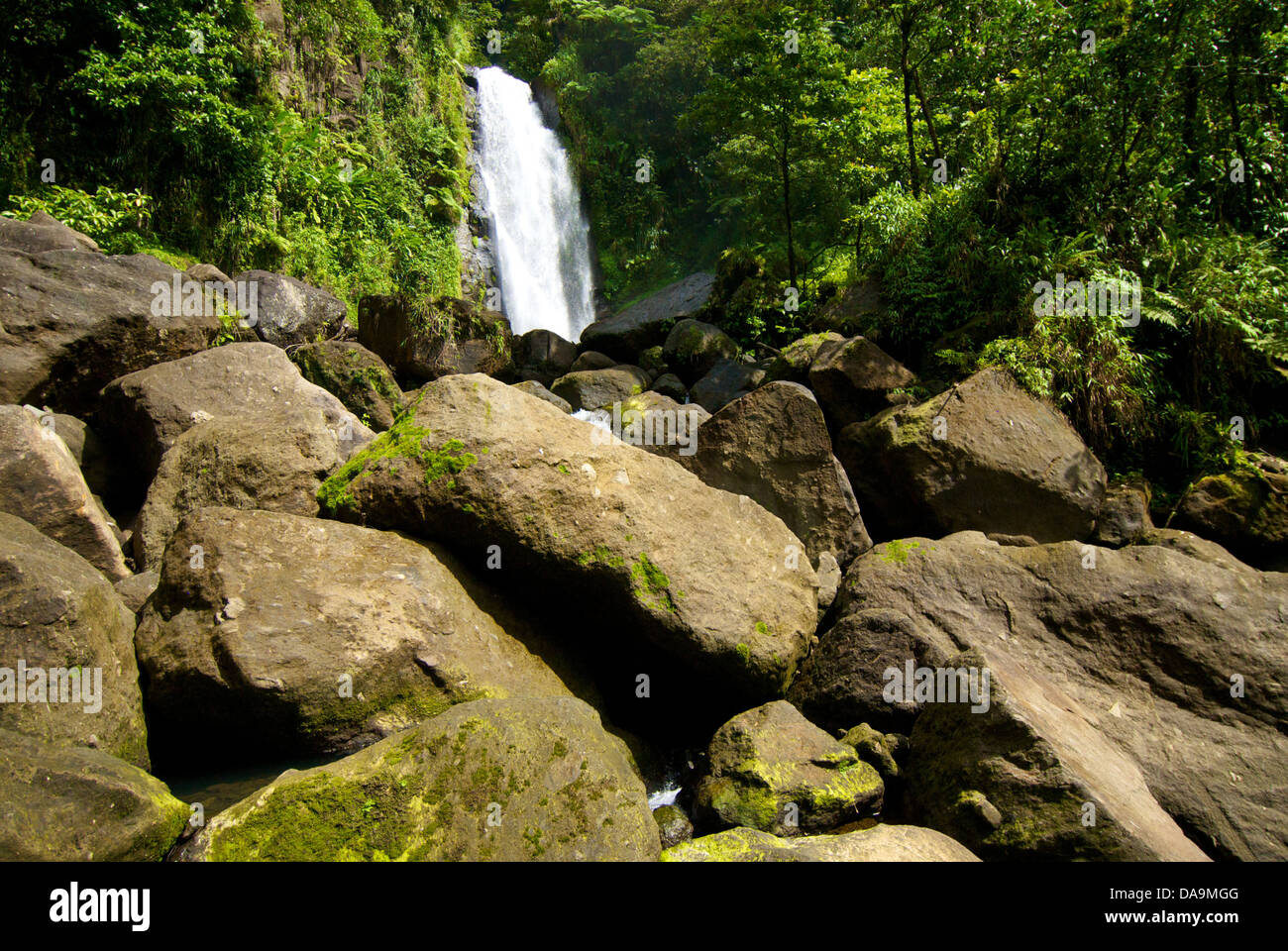 Trafalgar Falls, Dominica, Caribbean Stock Photo - Alamy