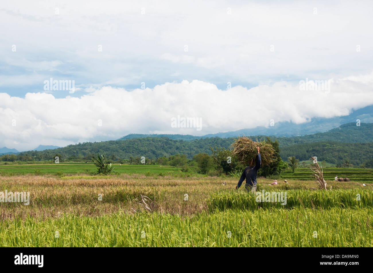 Field work hi-res stock photography and images - Alamy