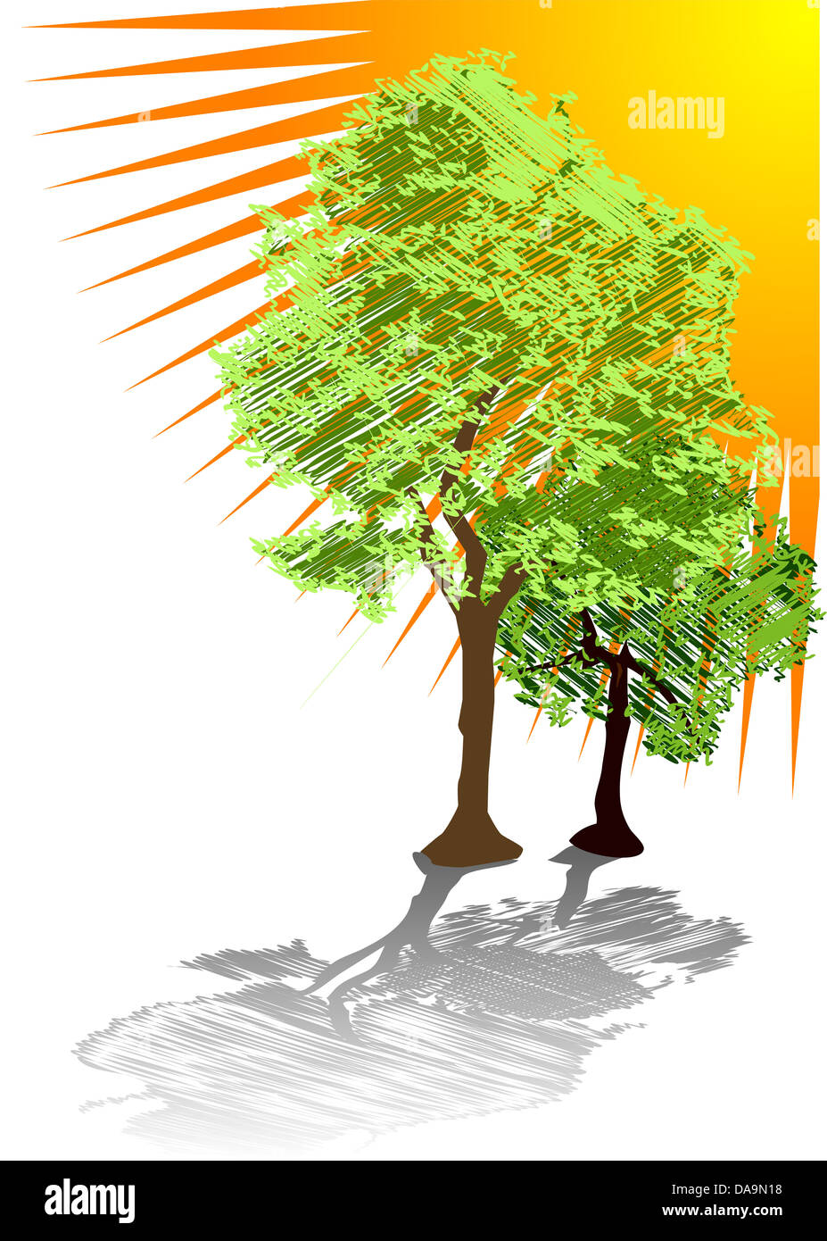 green trees and sun Stock Photo - Alamy