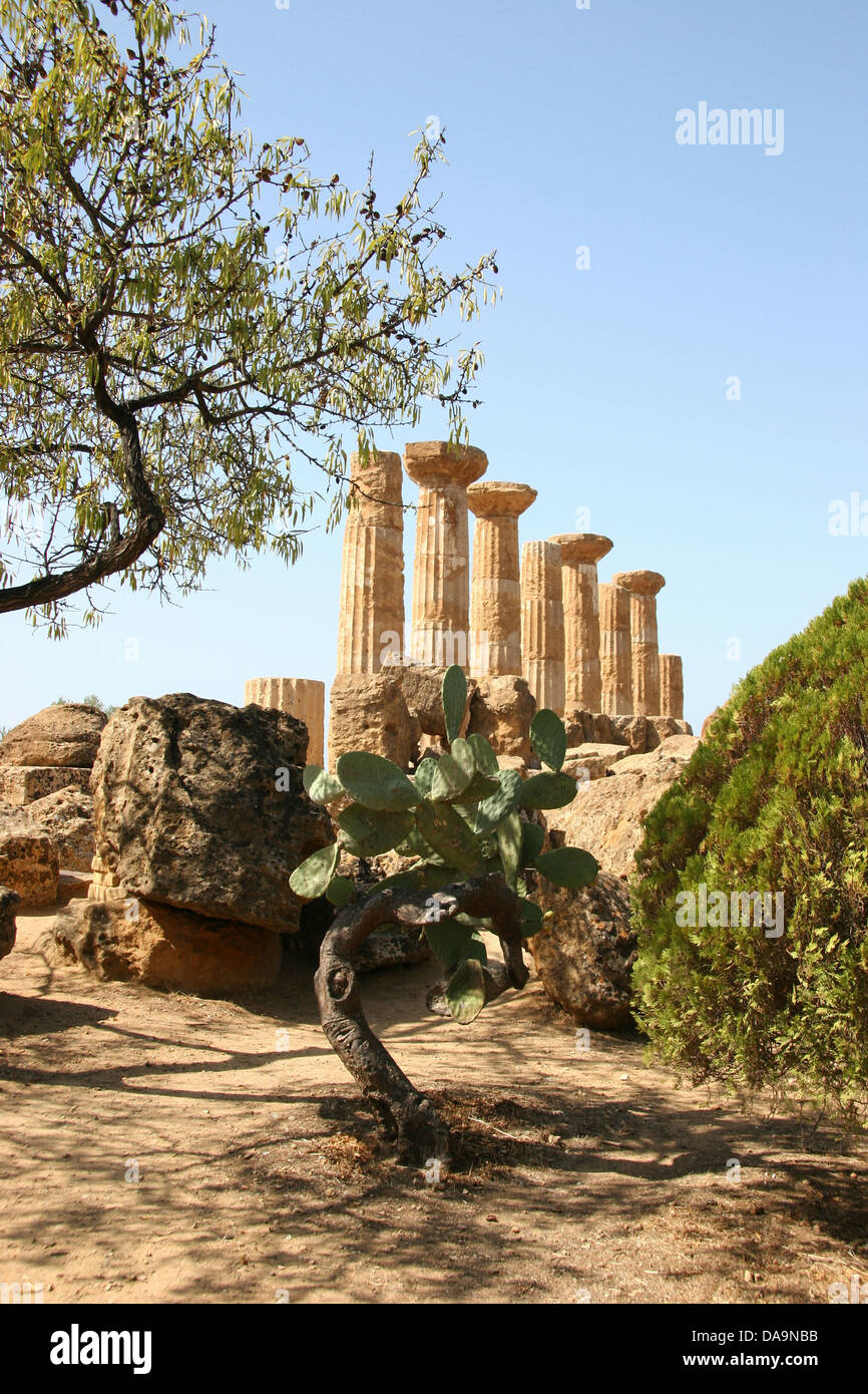 Italy, Europe, Sicily, Agrigento, Heracles, temple, antiquity ...
