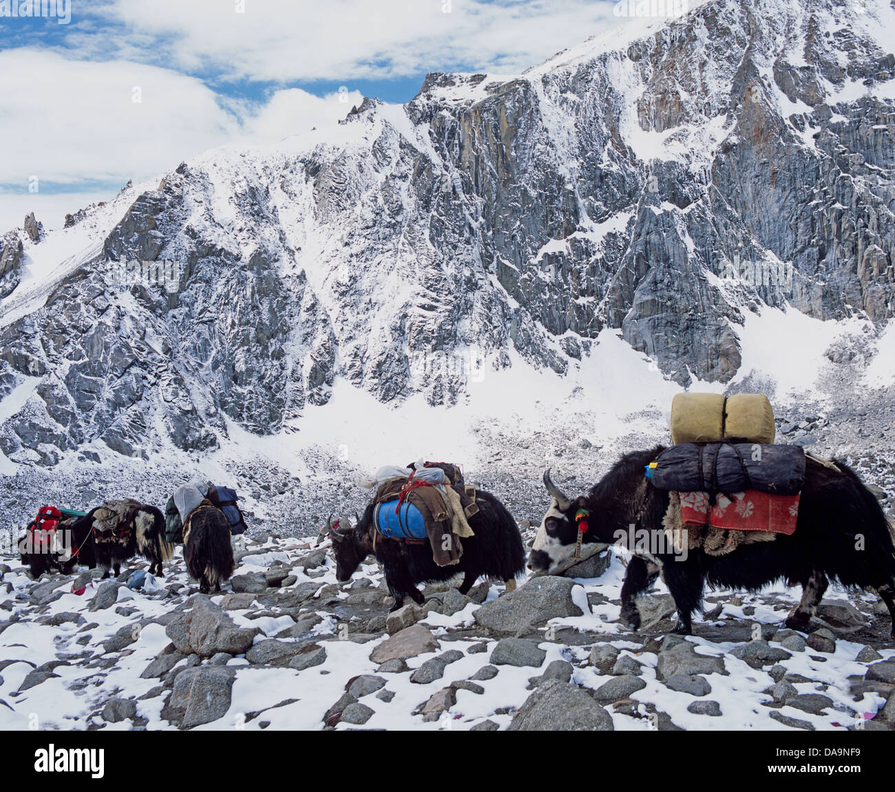 Mount kailash hi-res stock photography and images - Alamy