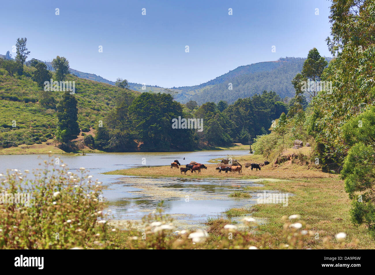 Tamil nadu india landscape hi-res stock photography and images - Alamy