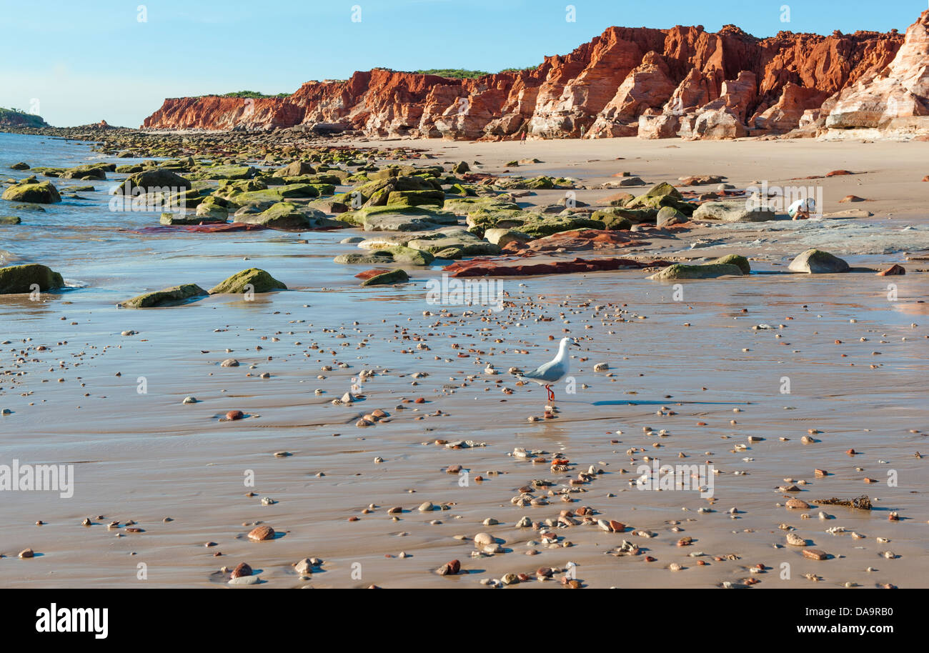 The famous eroded sandstone cliffs of the Western beach at Cape Leveque ...