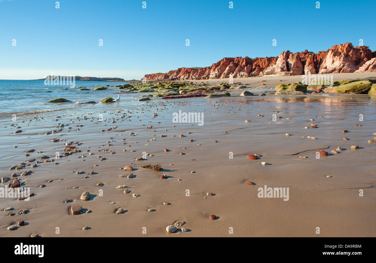 The famous eroded sandstone cliffs of the Western beach at Cape Leveque ...