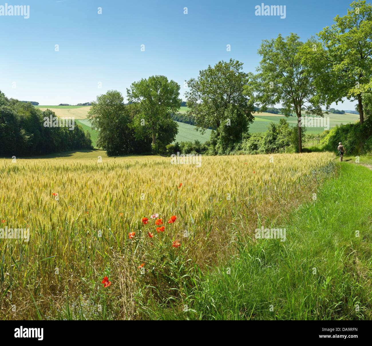 Netherlands, Holland, Europe, Kruishoeve, Ubachsberg, Hilly, Hill ...