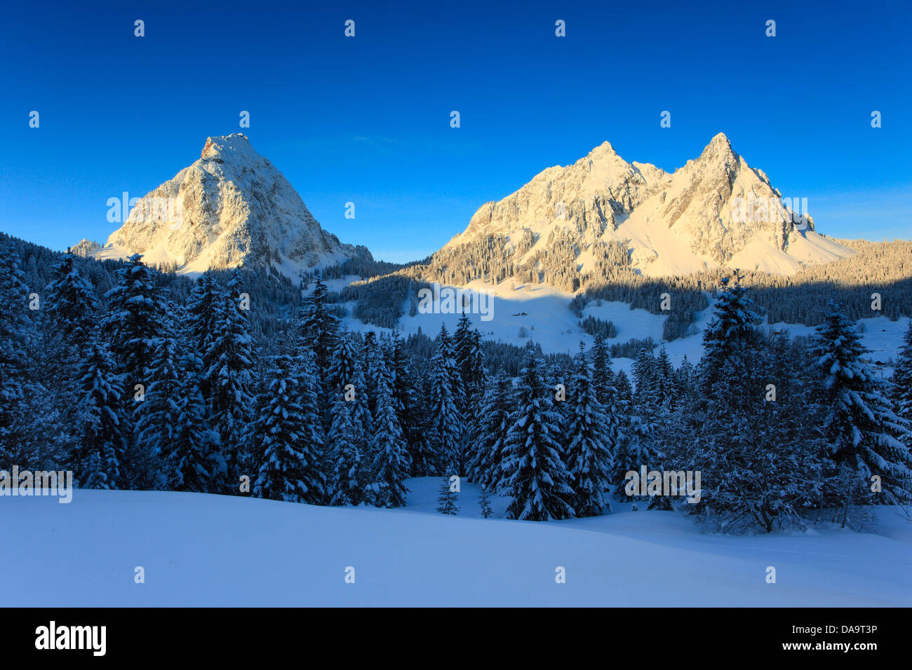 Alps, Alpine, panorama, view, mountain, mountains, massif, Brunni ...