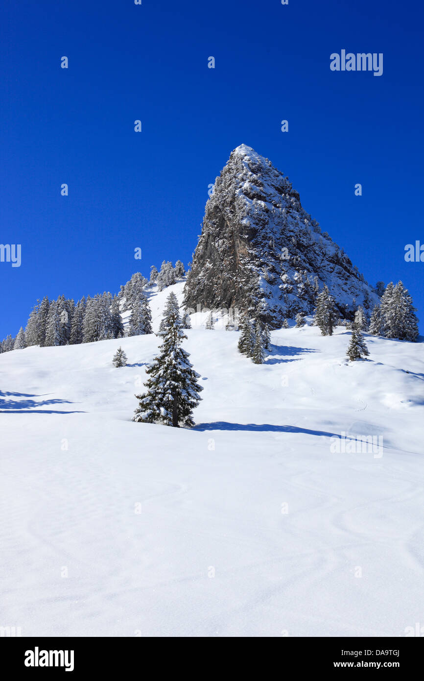 View, mountain, mountains, trees, spruce, spruces, mountains, summits ...