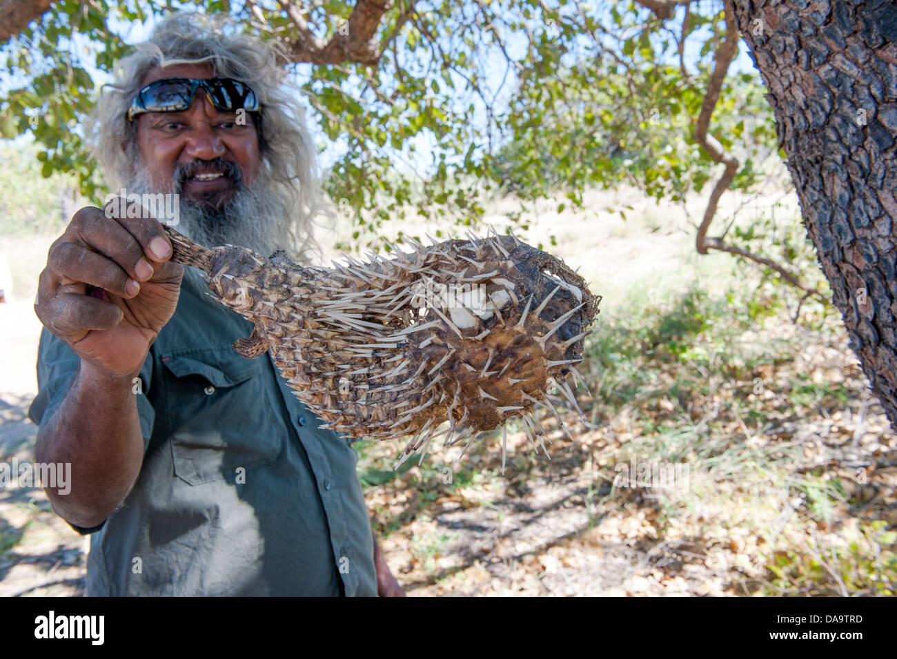 Aborigines australia hunting hi-res stock photography and images - Alamy