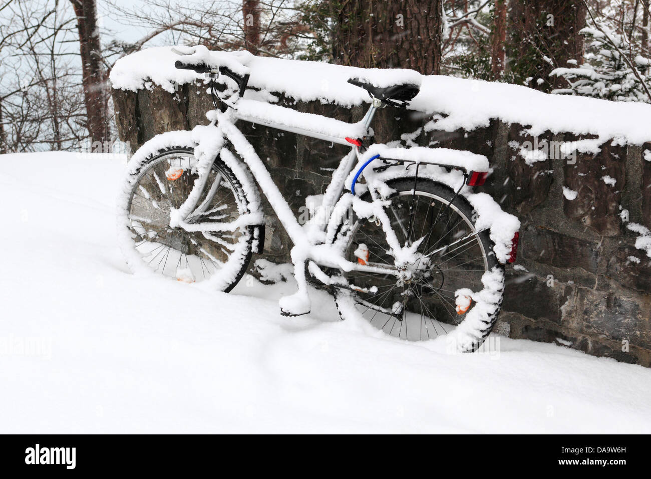 Bicycle, Bike, snow, Switzerland, Europe, transportation, bicycle ...