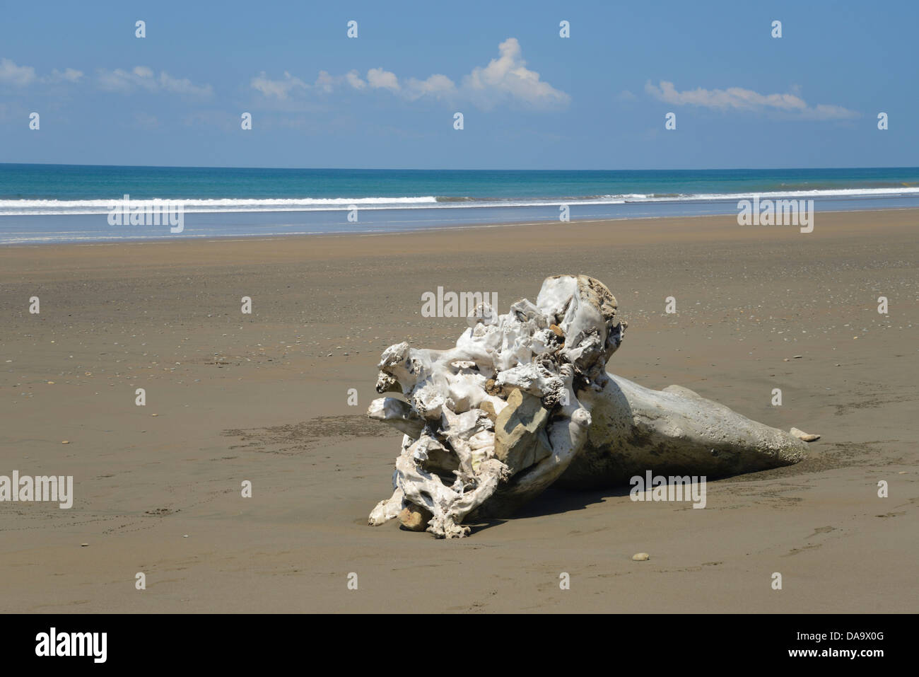 Central America, Costa Rica, La Fortuna, landscape, nature, Puntarenas ...
