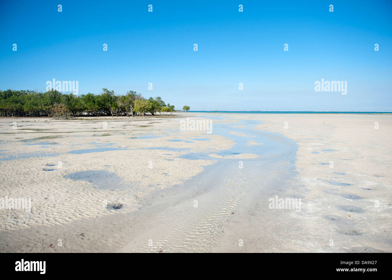 Mangrove mudflats at low tide at One Arm Point, Cape Leveque, Kimberley ...