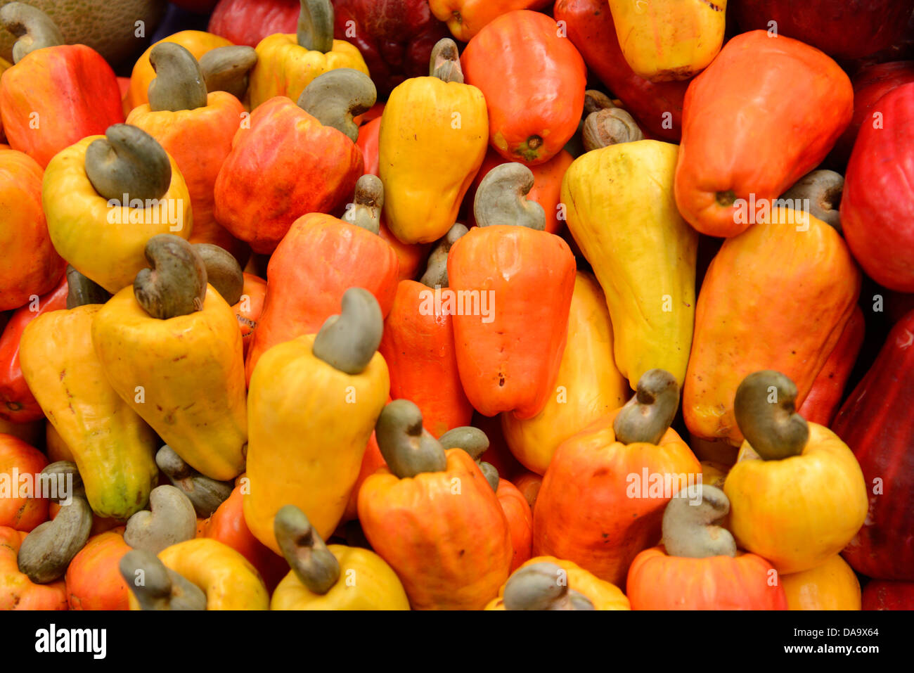 Central America, Costa Rica, Cartago, market, peppers, vegetables ...