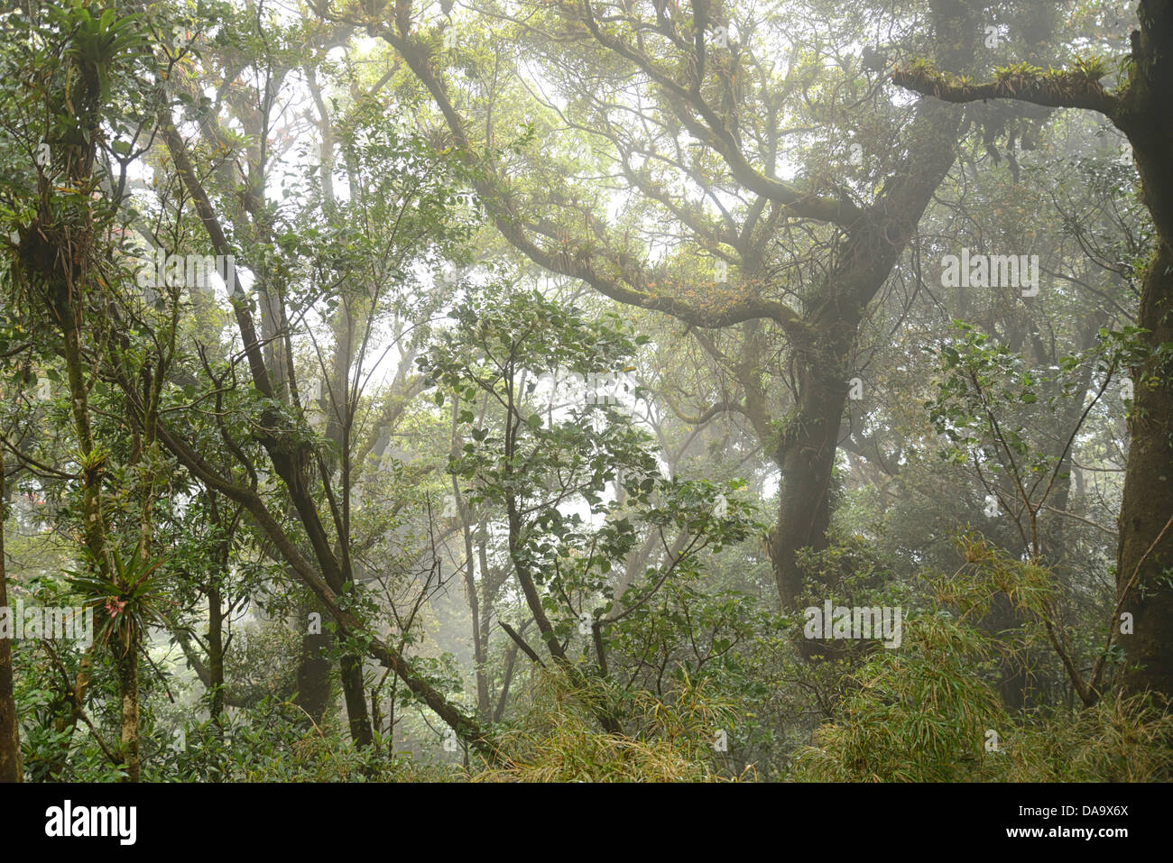Central America, Costa Rica, Poas, volcanic, volcano, forest, cloud ...
