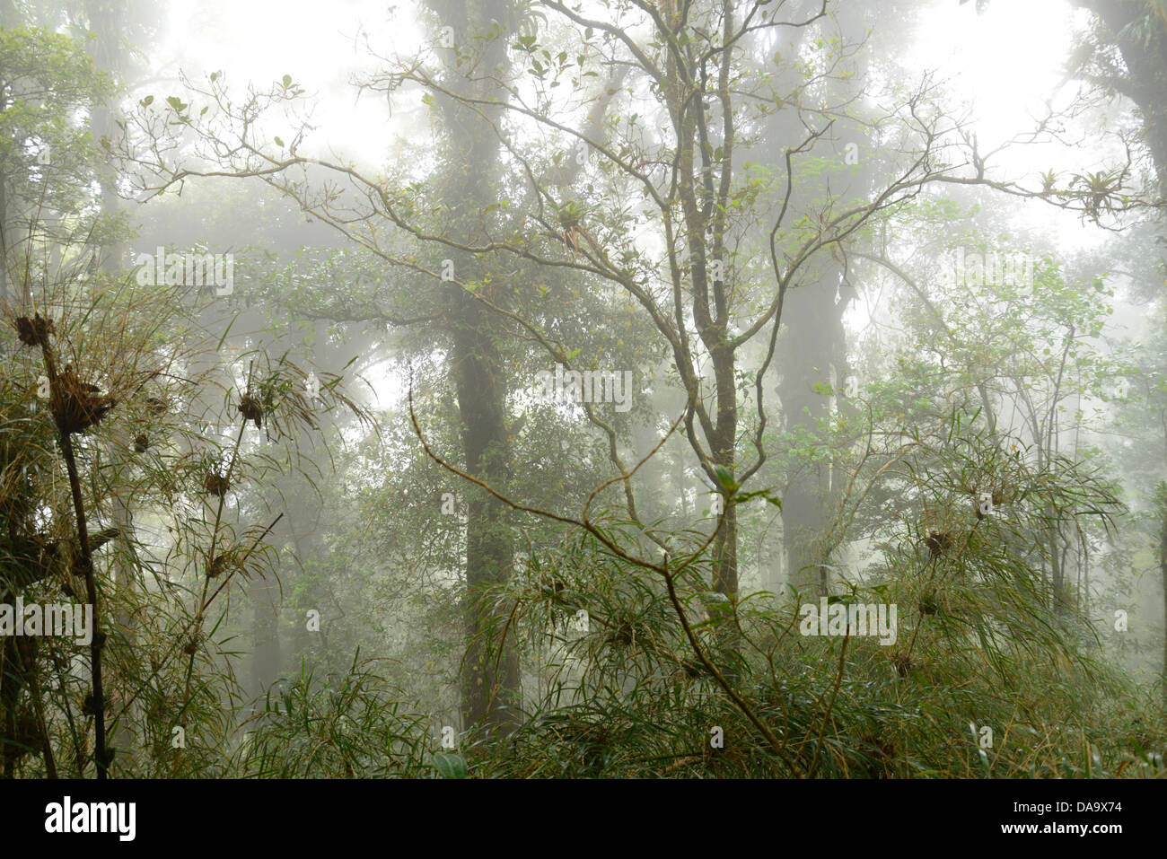 Central America, Costa Rica, Poas, volcanic, volcano, forest, cloud ...